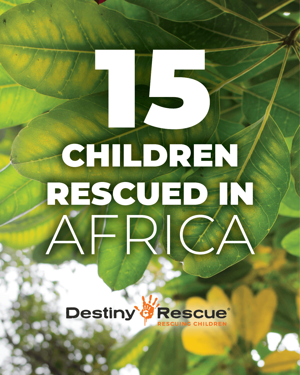 15 children rescued from exploitation in Africa - Destiny Rescue UK ...